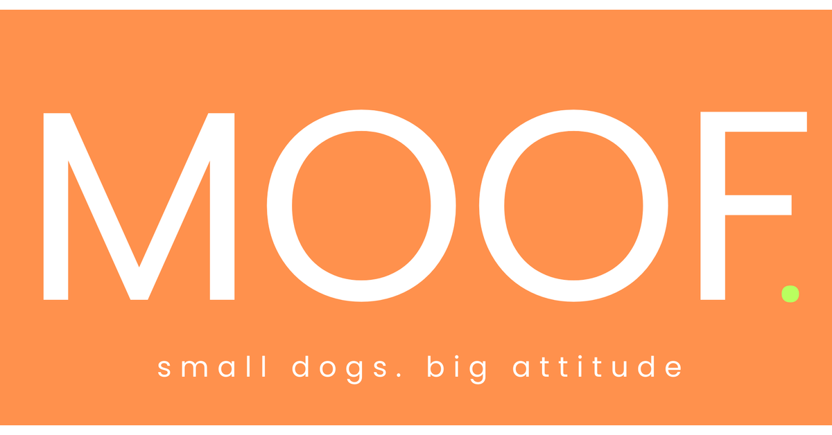 MOOF BARCELONA
